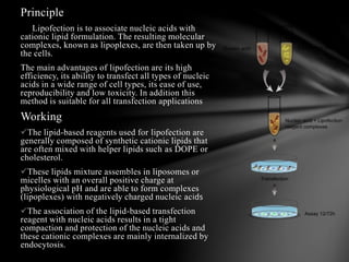 Transfection methods | PPTX