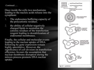 Transfection methods | PPTX