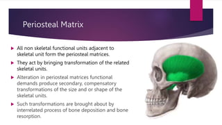 Functional matrix theory- Revisited .pptx