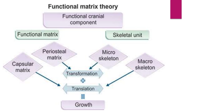Functional matrix theory- Revisited .pptx