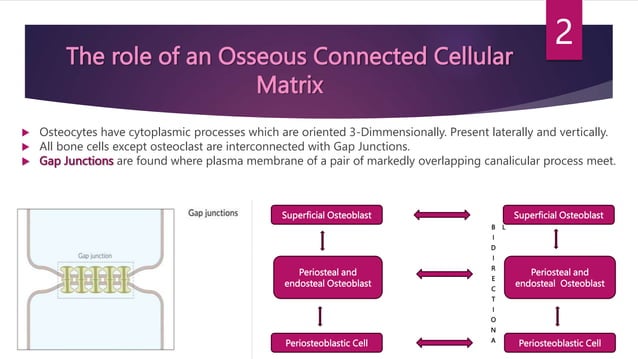 Functional matrix theory- Revisited .pptx