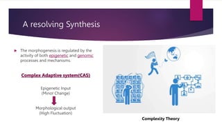 Functional matrix theory- Revisited .pptx