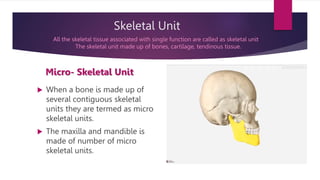 Functional matrix theory- Revisited .pptx