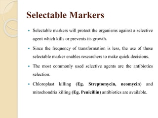Screenable and Selectable Markers | PPTX