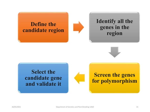Candidate Gene Approach in Crop Improvement | PPTX | Genetics | Science