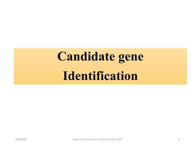 Candidate Gene Approach in Crop Improvement | PPTX | Genetics | Science