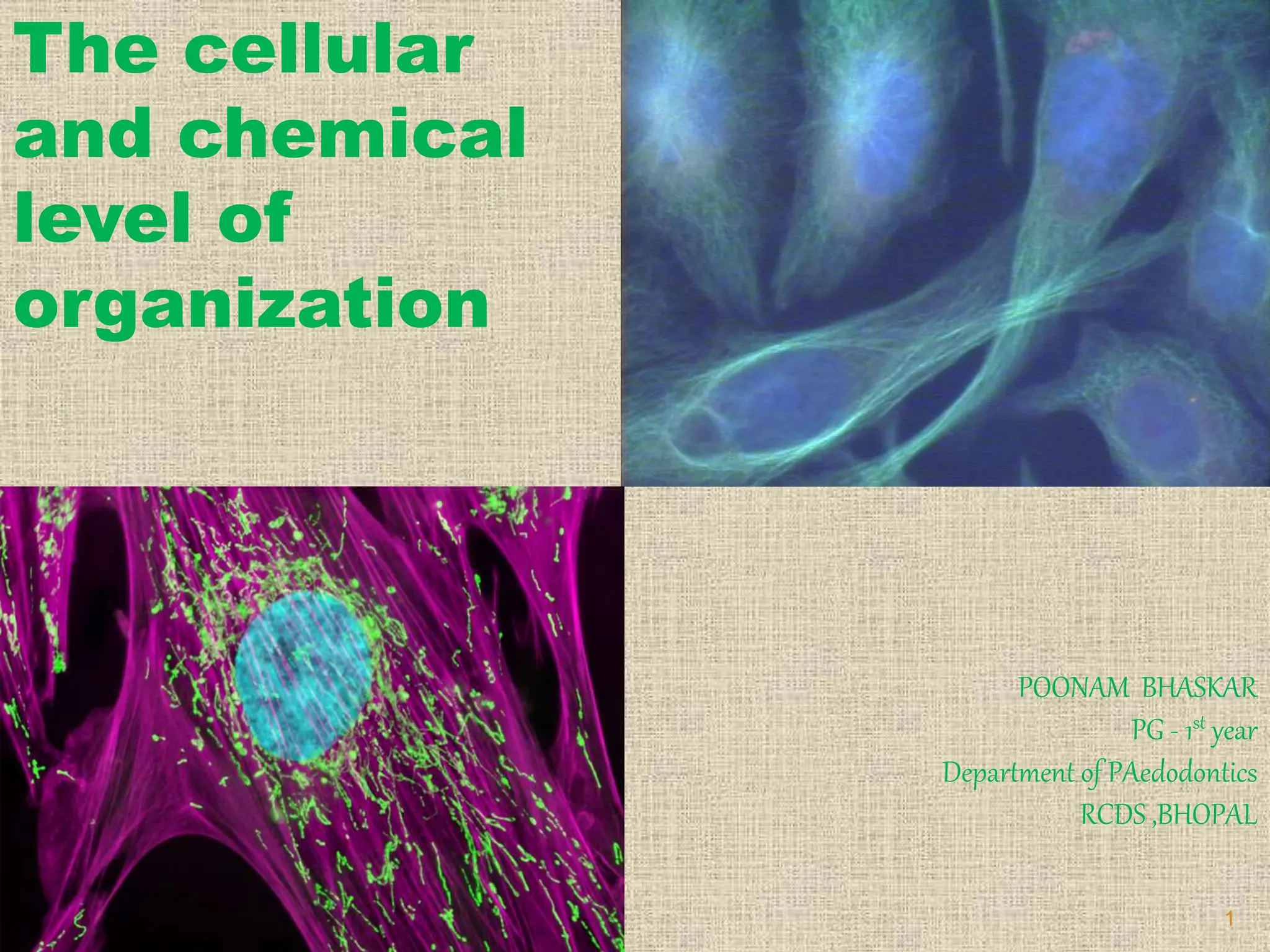 Cellular and Chemical level of Organisation.pptx | Biological Sciences | Science