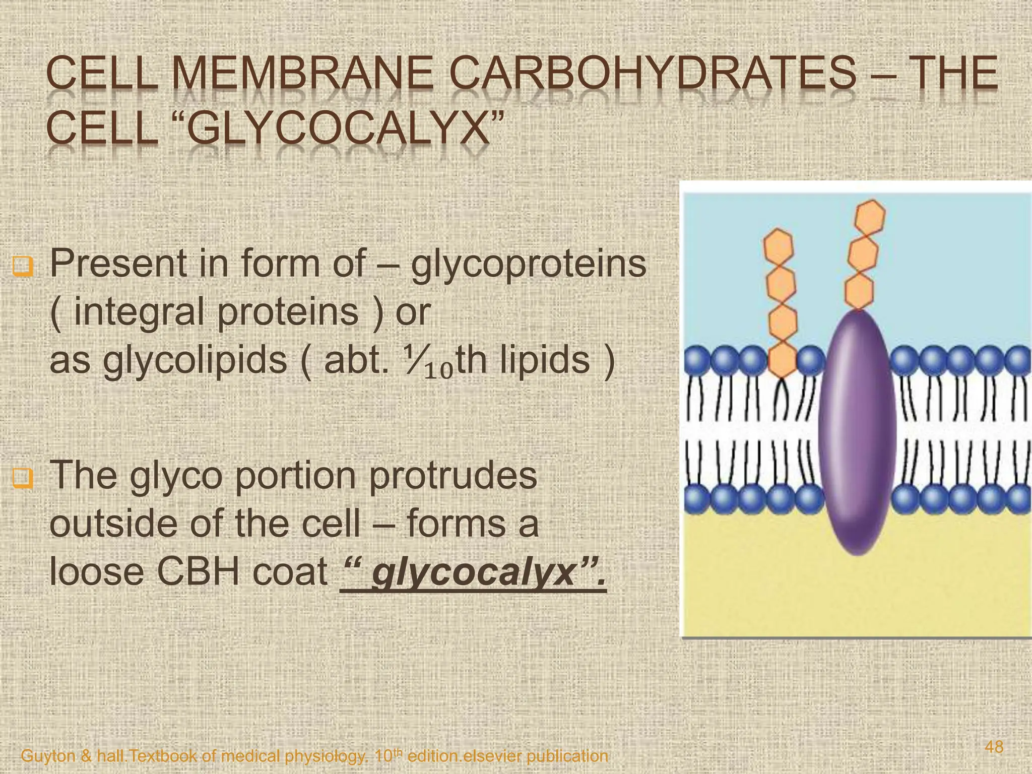 Cellular and Chemical level of Organisation.pptx