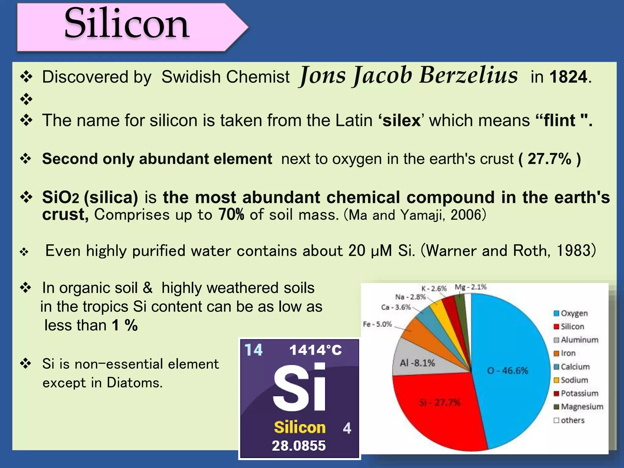 Seminar.silicon | PPTX