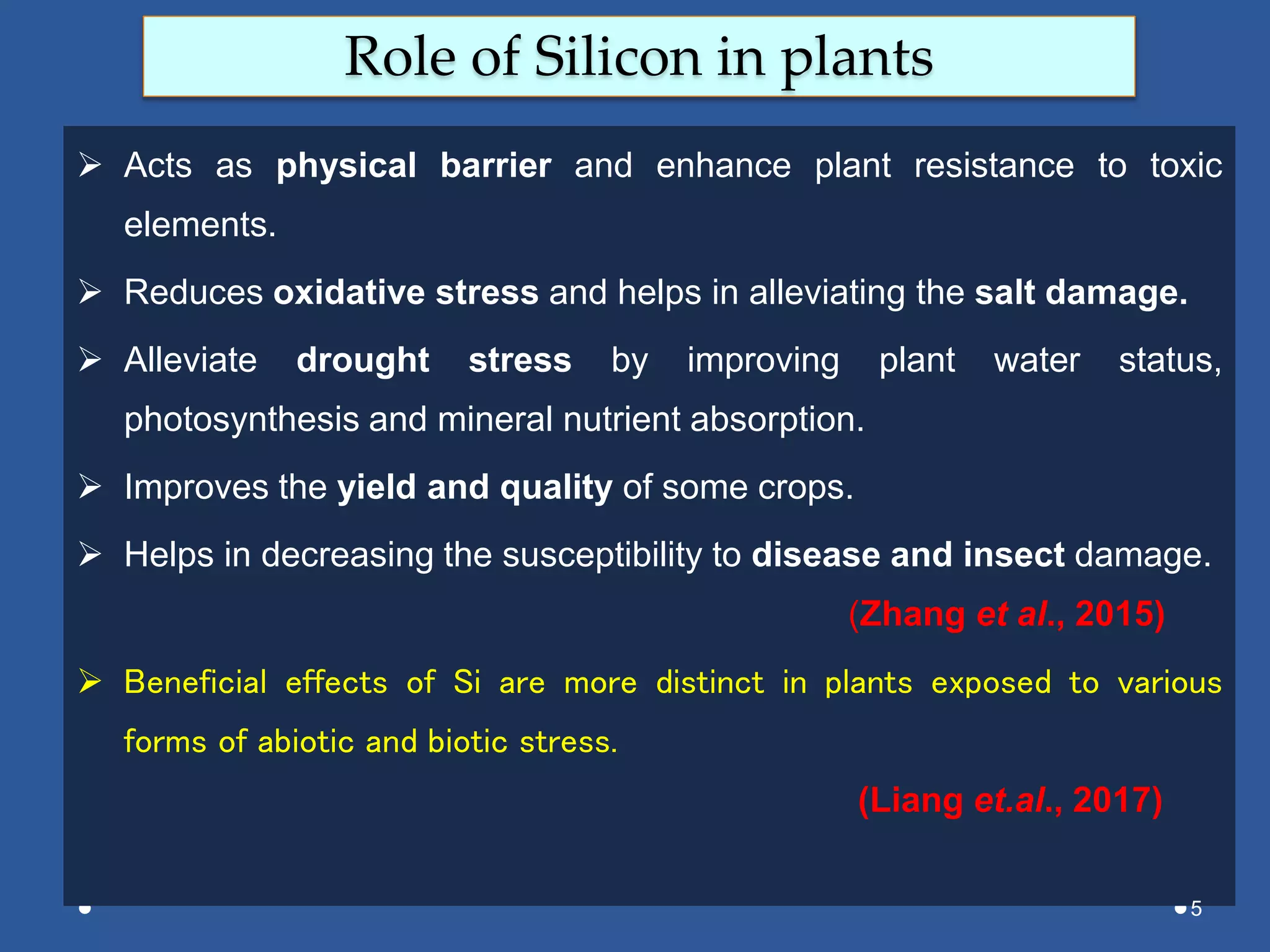 Seminar.silicon | PPTX