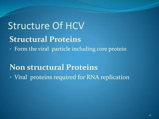 Peptide inhibitors for HCV | PPT