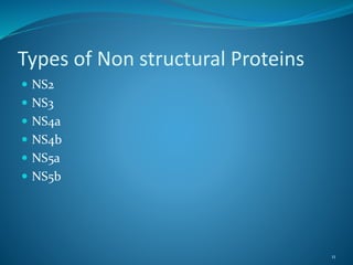 Peptide inhibitors for HCV | PPT
