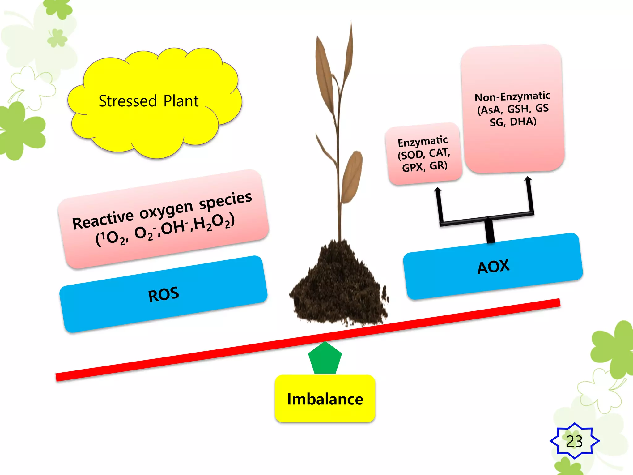 Drought tolerance mechanism in plant | PDF