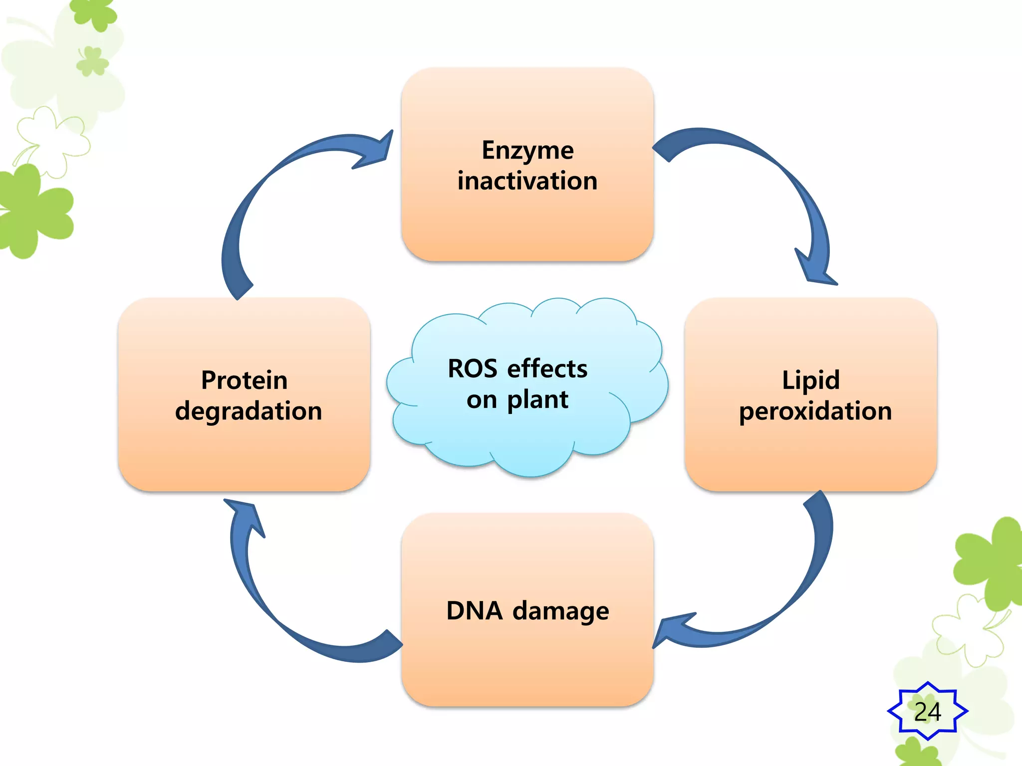 Drought tolerance mechanism in plant | PDF