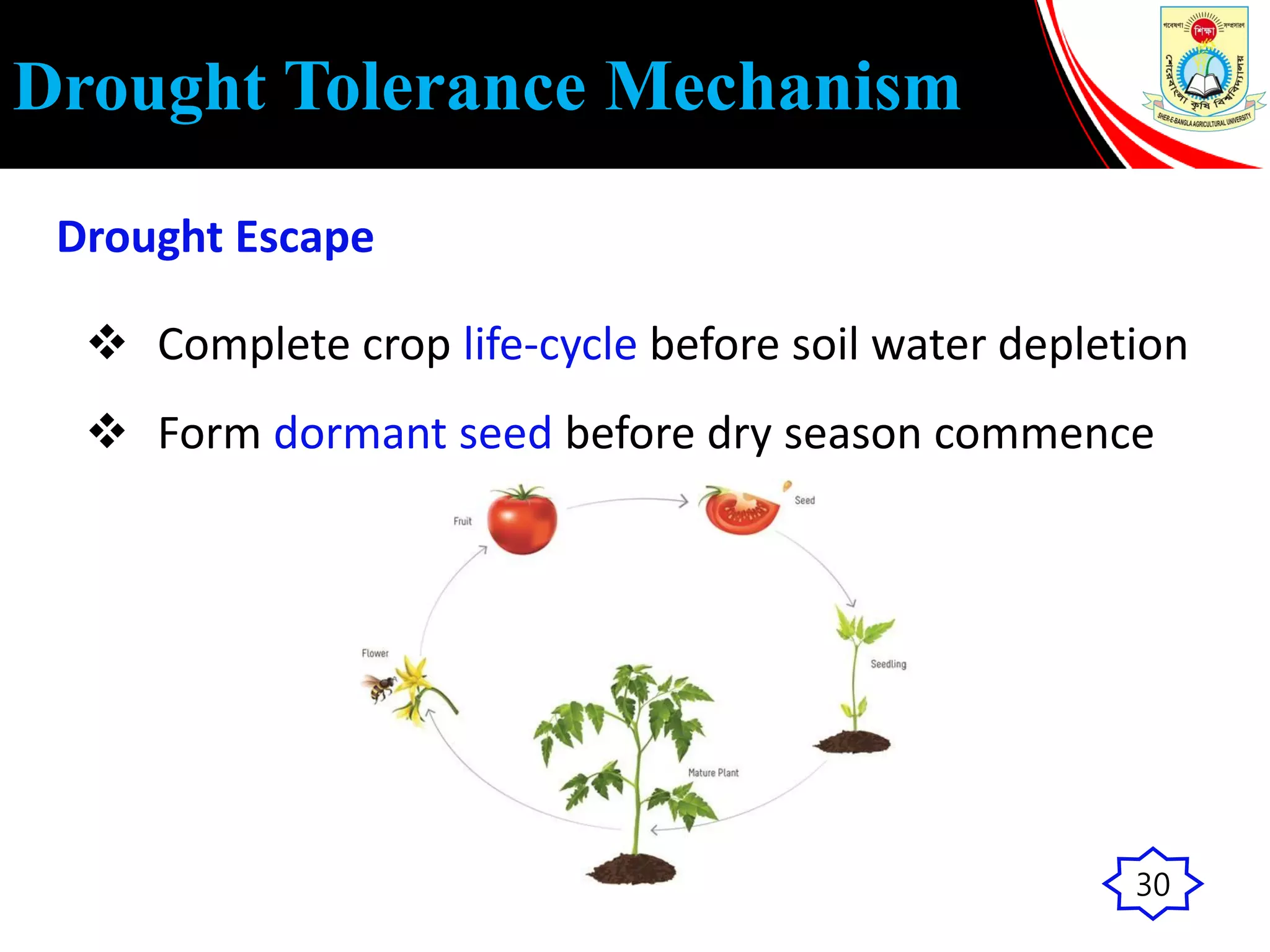 Drought tolerance mechanism in plant | PDF