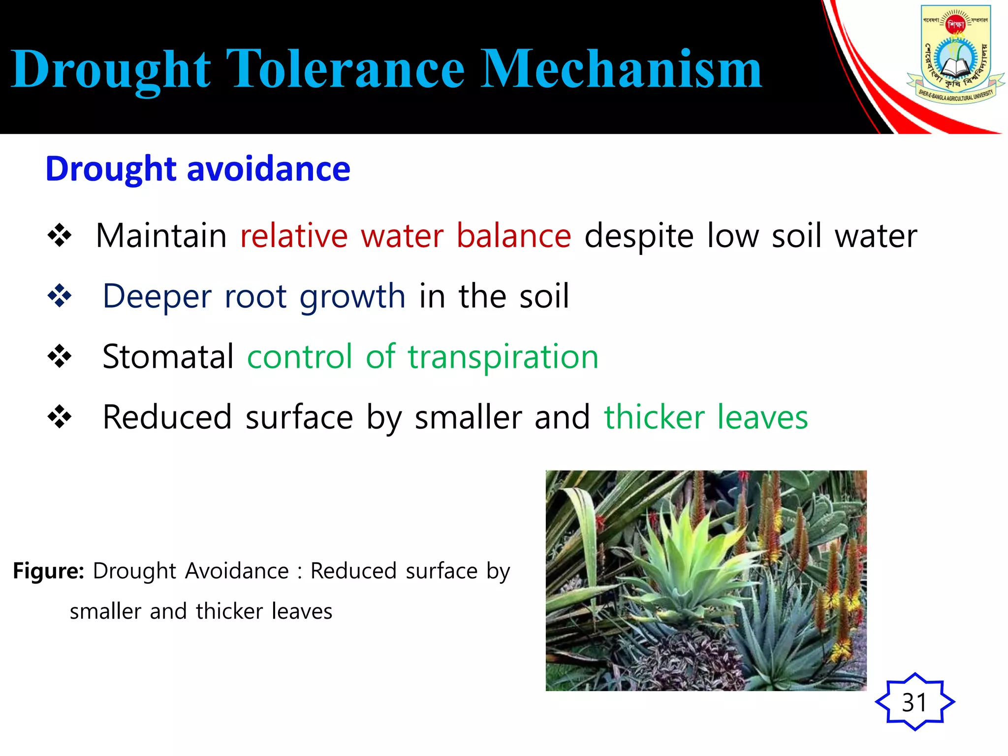 Drought tolerance mechanism in plant | PDF