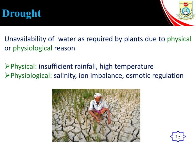 Drought tolerance mechanism in plant | PDF