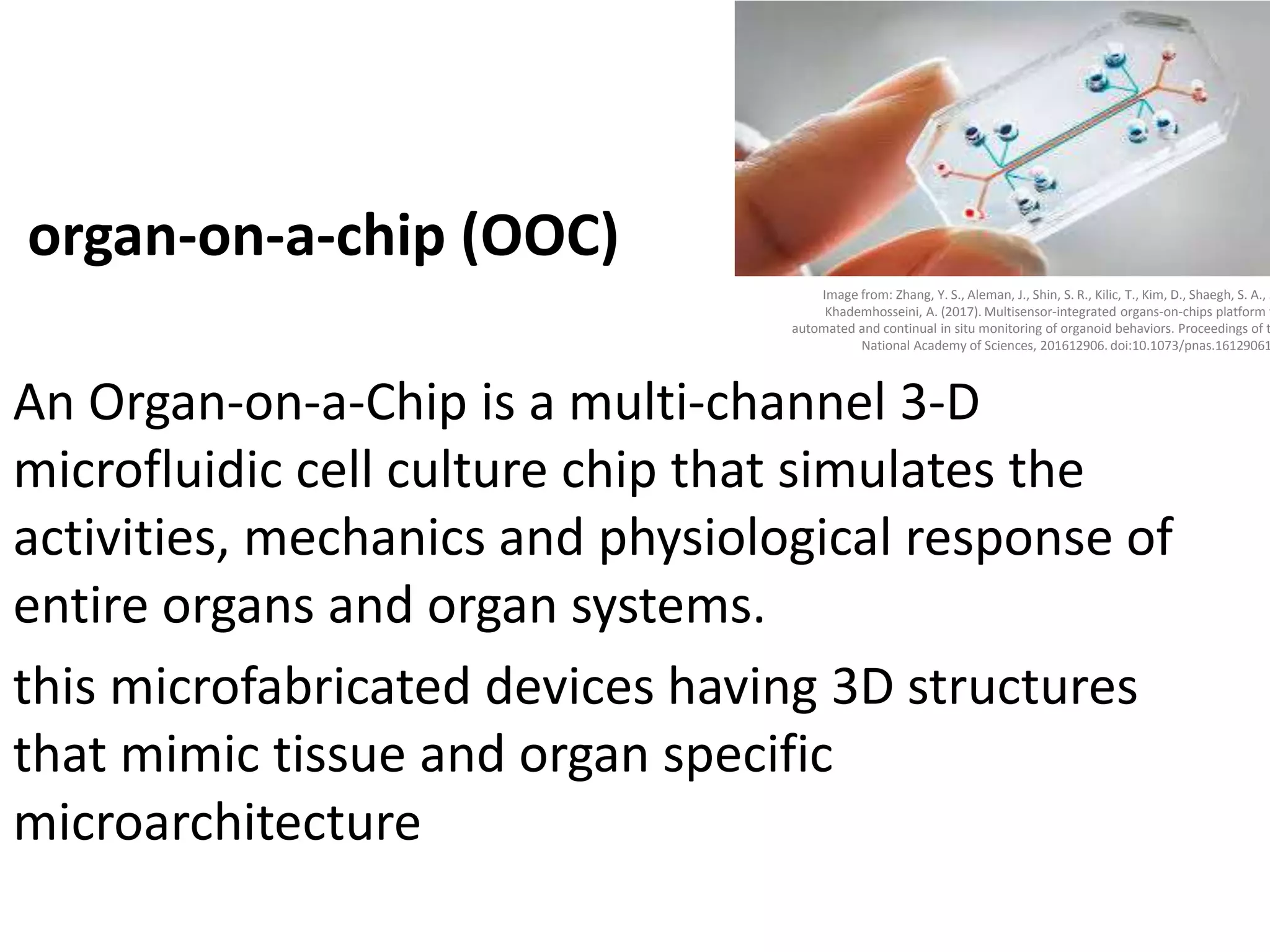Human Organs-on-Chips | PPTX