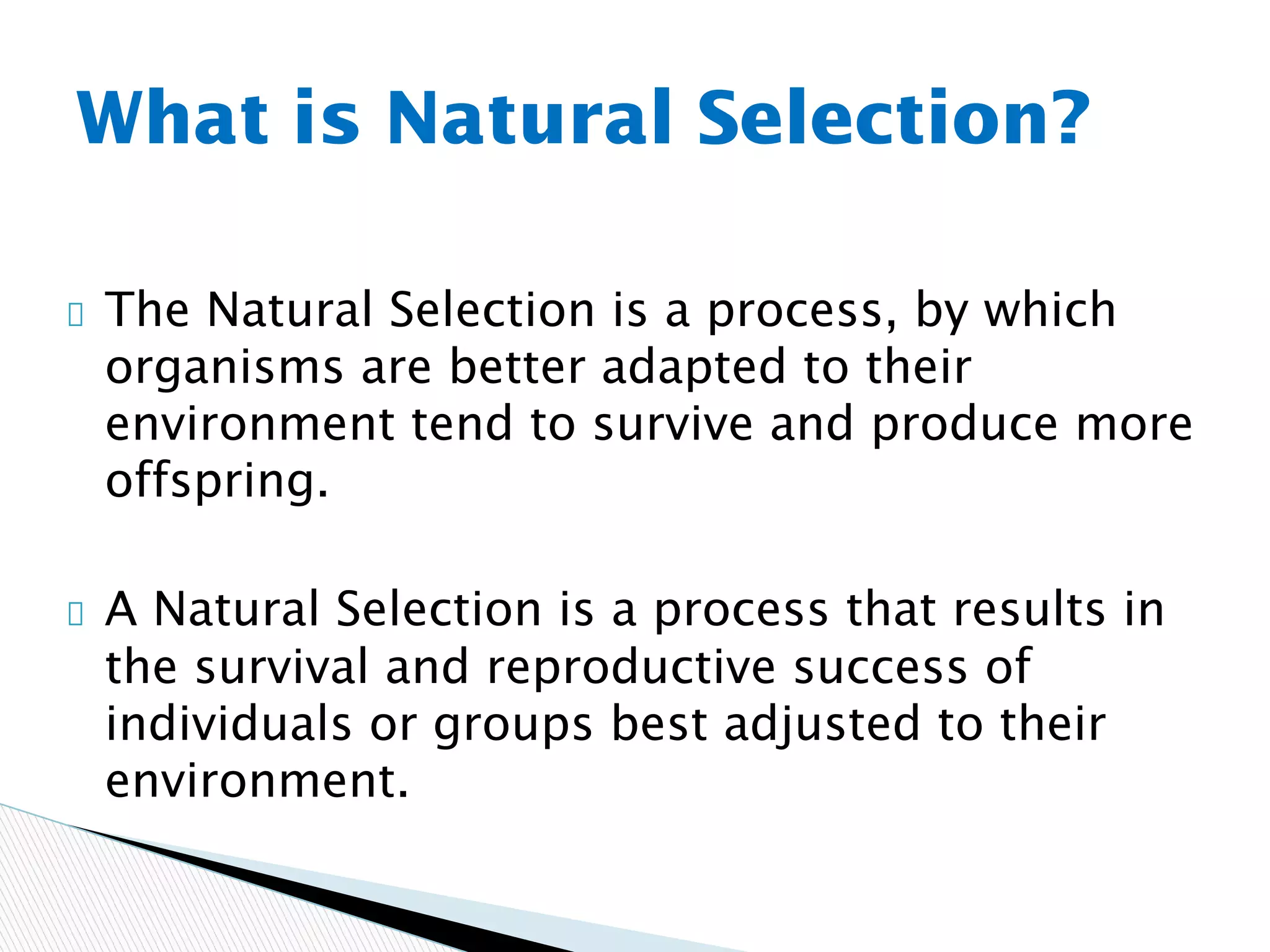 Natural Selection and its types | PDF