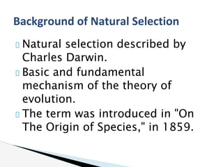 Natural Selection and its types | PDF