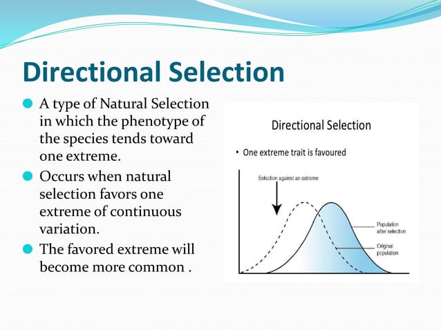 Natural Selection and its types | PDF