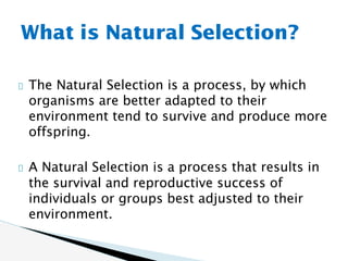 Natural Selection and its types | PPT