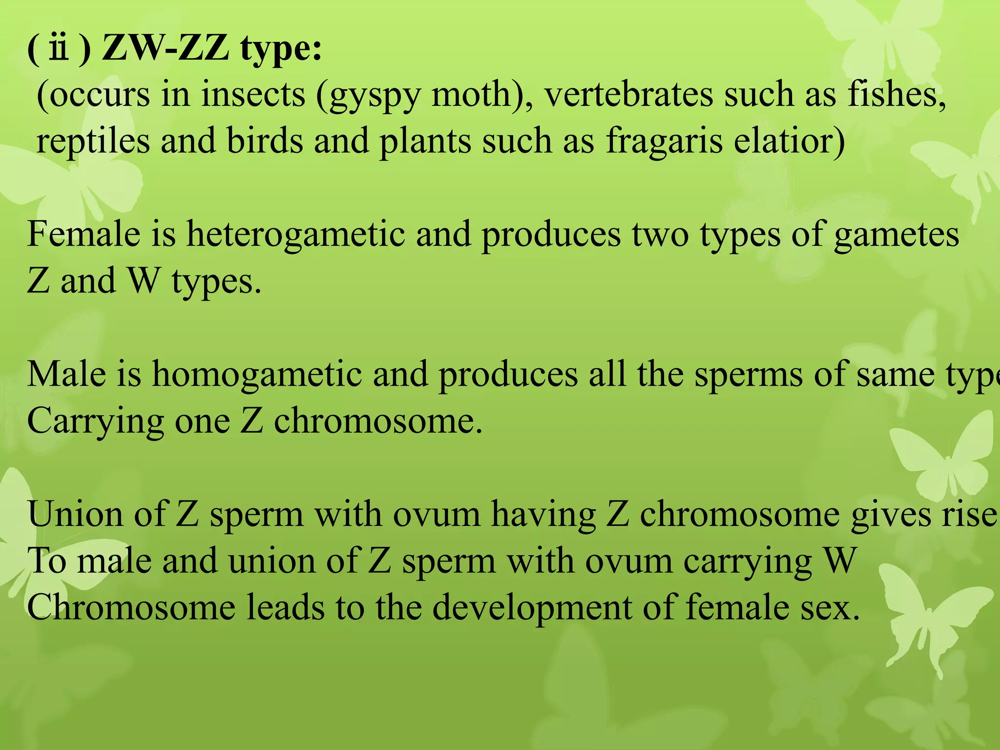 Sex Determination Chromosomal Theory Of Sex Determination Pptx