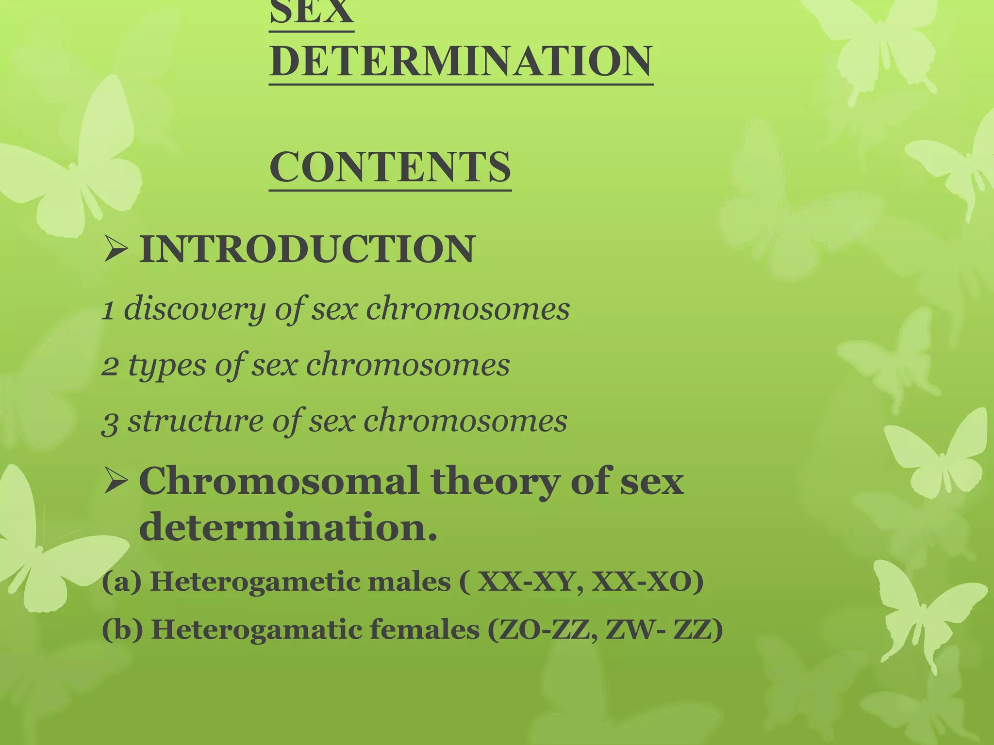 Sex determination - chromosomal theory of sex determination. | PPTX
