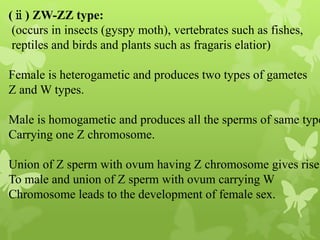 Sex determination - chromosomal theory of sex determination. | PPTX