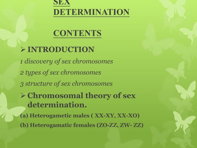 Sex determination - chromosomal theory of sex determination. | PPTX ...