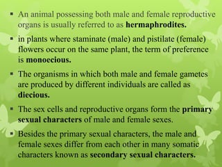 Sex determination - chromosomal theory of sex determination. | PPTX