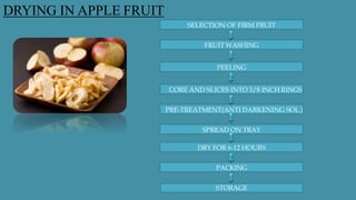 Drying and dehydration of fruit crops | PPTX
