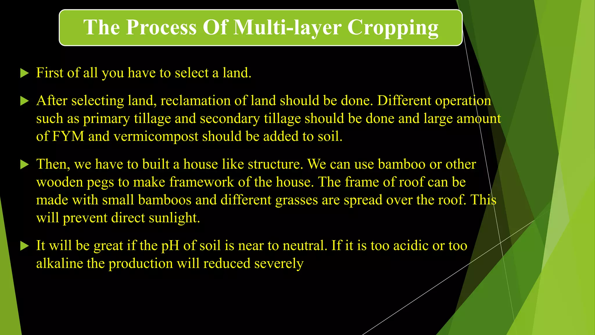 Multilayer Cropping : Ideal approach for better yield and increasing ...