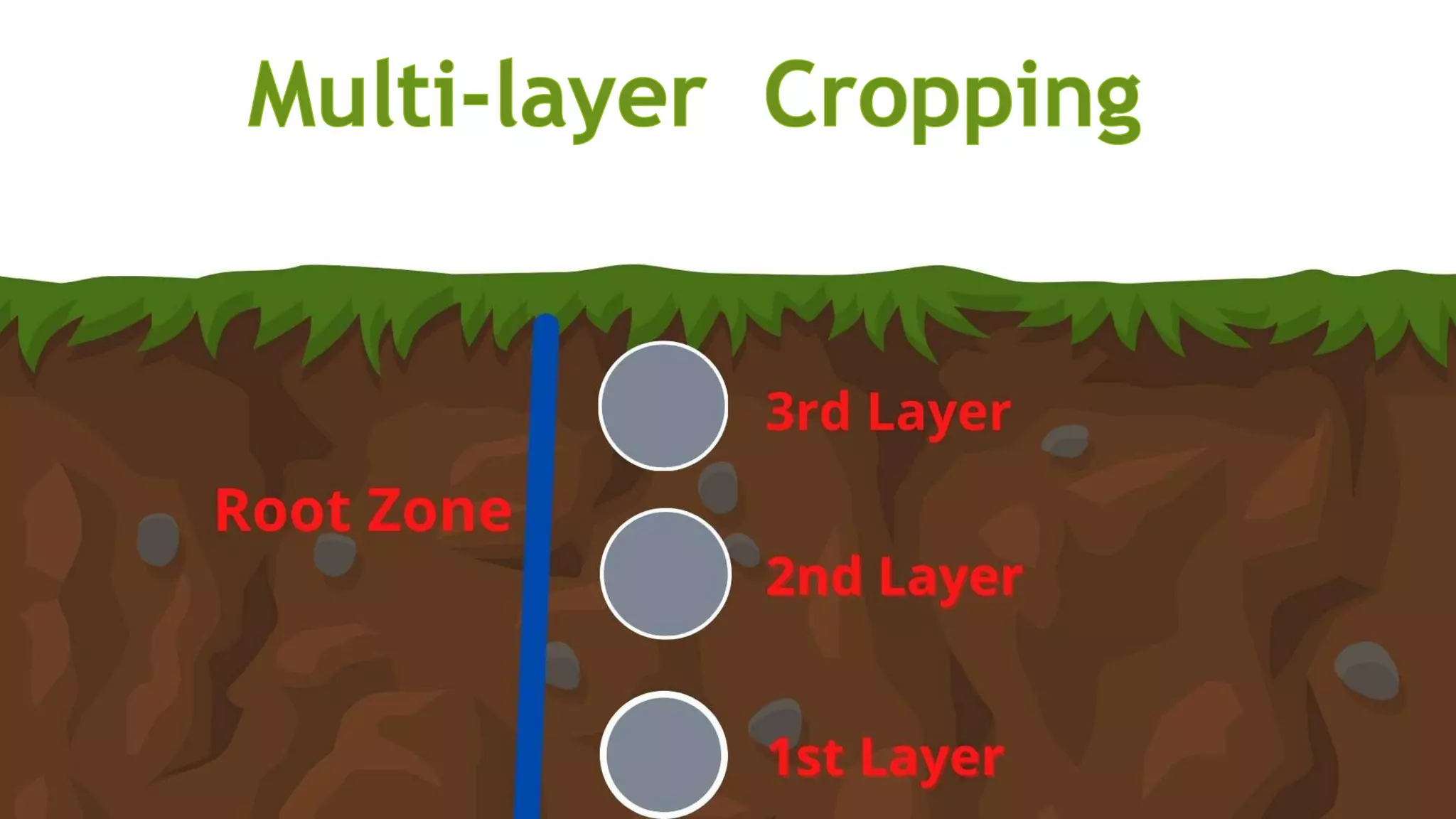 Multilayer Cropping : Ideal approach for better yield and increasing ...