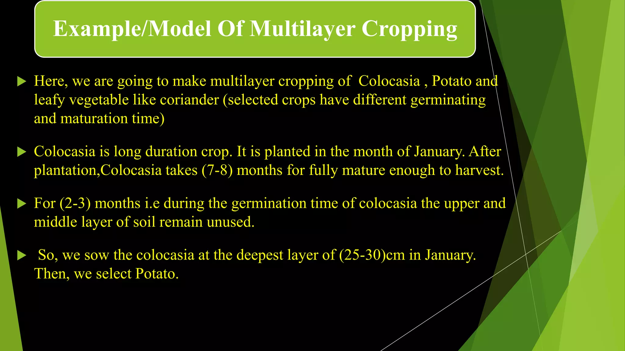 Multilayer Cropping : Ideal approach for better yield and increasing ...