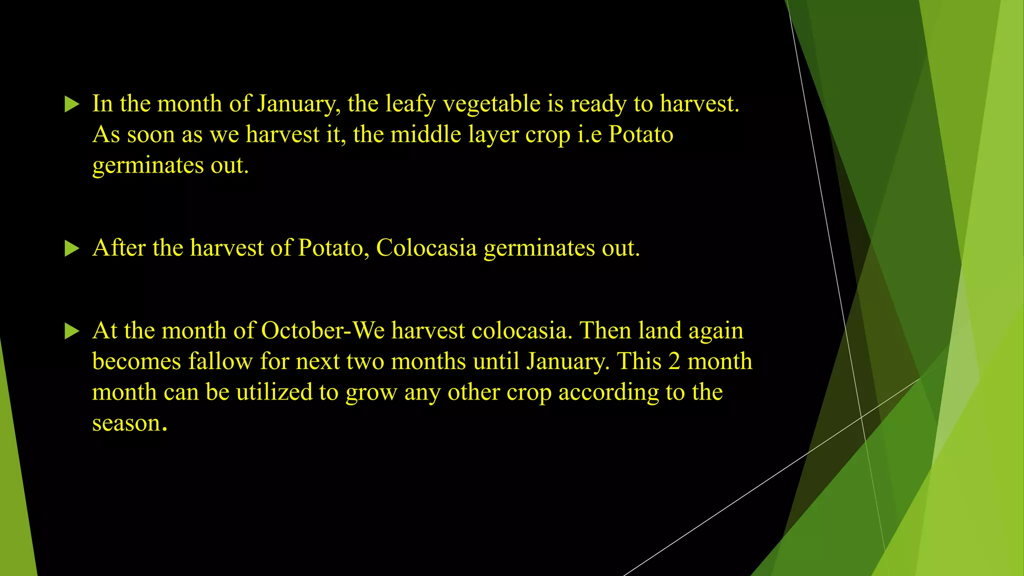 Multilayer Cropping : Ideal approach for better yield and increasing ...