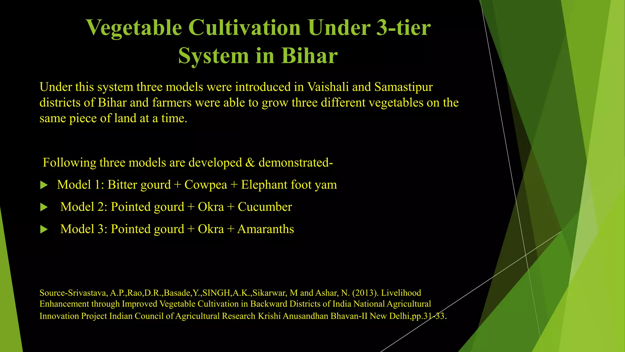 Multilayer Cropping : Ideal approach for better yield and increasing ...