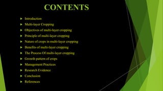 Multilayer Cropping : Ideal approach for better yield and increasing ...