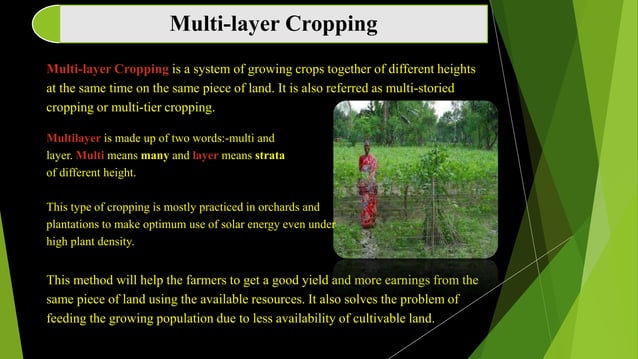 Multilayer Cropping : Ideal approach for better yield and increasing ...