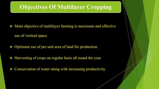 Multilayer Cropping : Ideal approach for better yield and increasing ...
