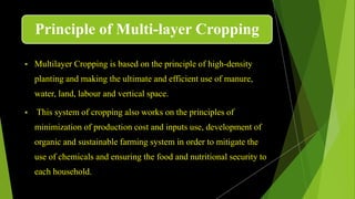 Multilayer Cropping : Ideal approach for better yield and increasing ...
