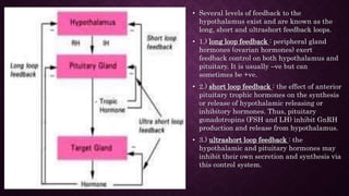 Physiology of Menstrual Cycle | PPTX