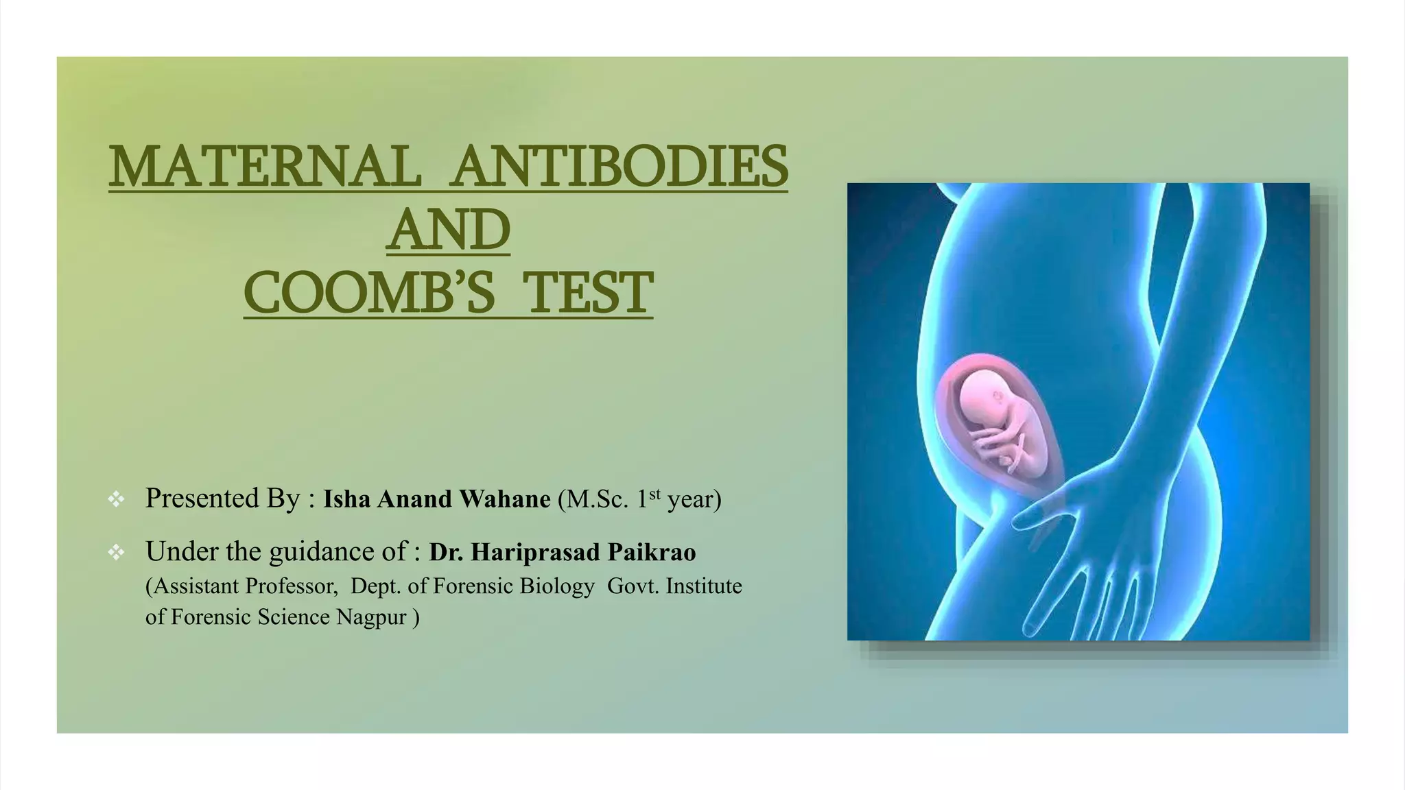 maternal antibodies and coombs test | PPT