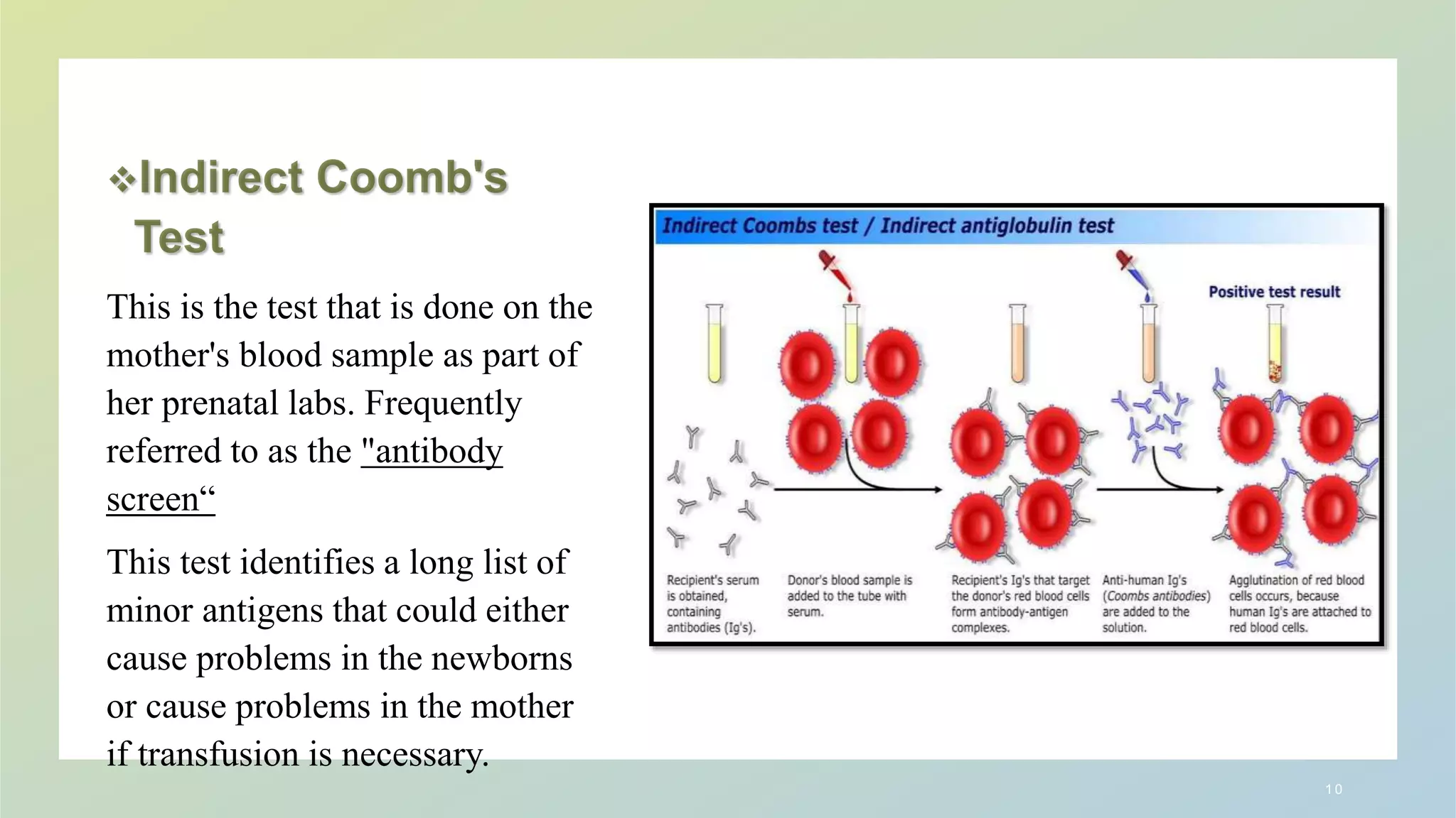 maternal antibodies and coombs test | PPT