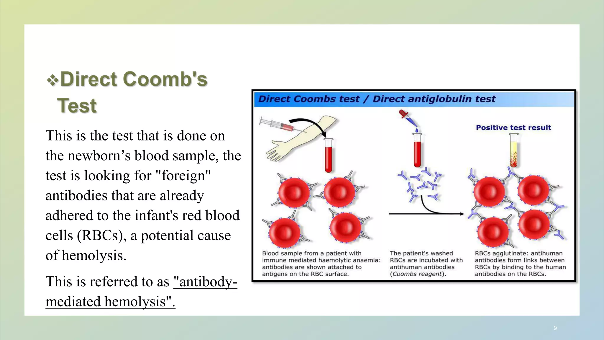 maternal antibodies and coombs test | PPT