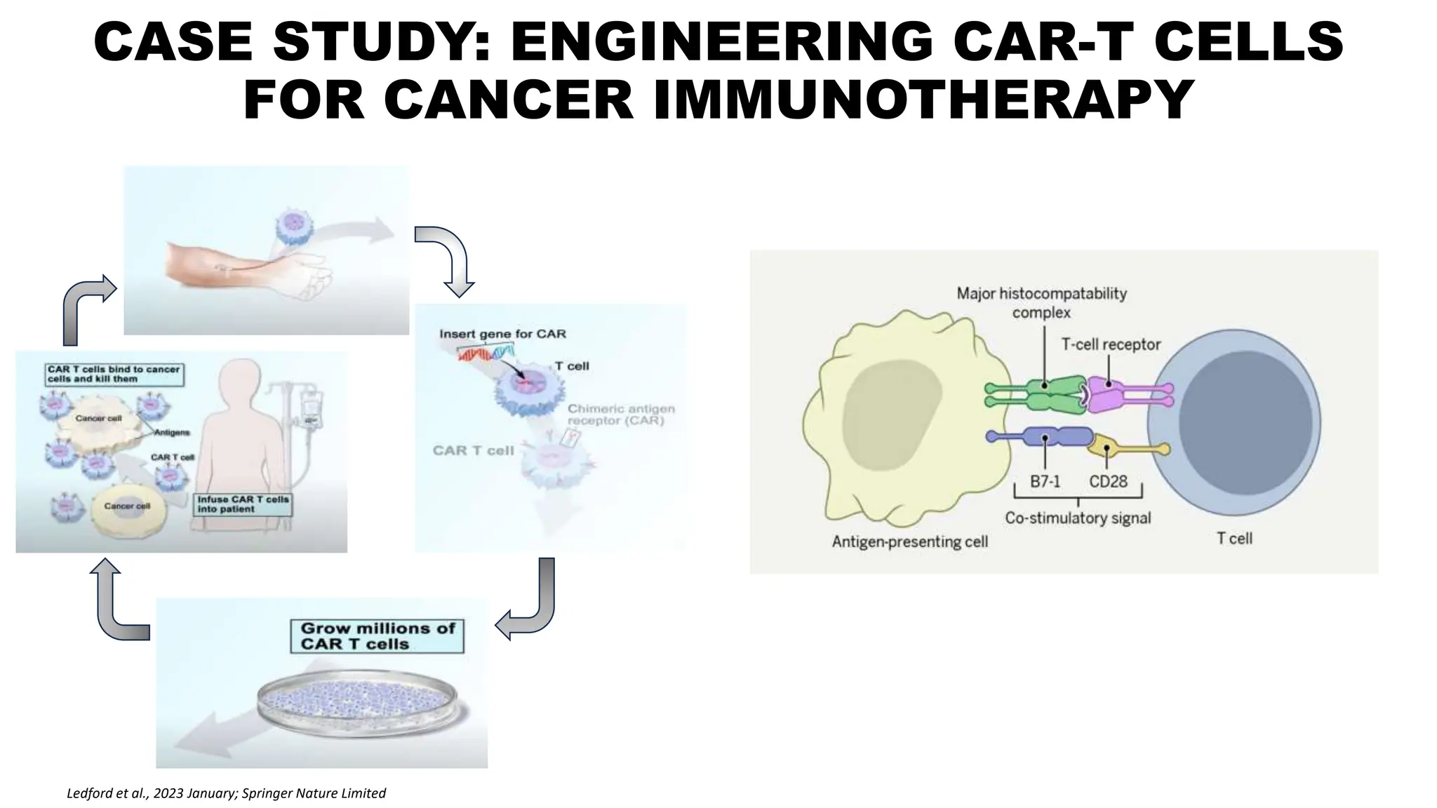 Cell Engineering and Molecular Pharming in Biopharmaceuticals.pptx