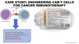 Cell Engineering and Molecular Pharming in Biopharmaceuticals.pptx