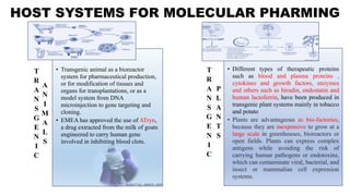 Cell Engineering and Molecular Pharming in Biopharmaceuticals.pptx