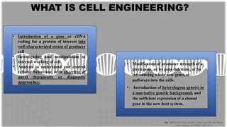 Cell Engineering and Molecular Pharming in Biopharmaceuticals.pptx