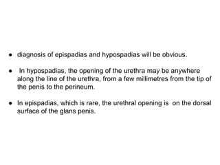 seminar urology pediatric for inguinal and | PPTX